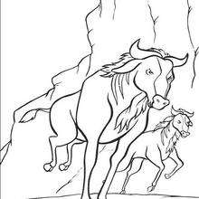 Coloriages coloriage d'animaux sauvages - fr.hellokids.com