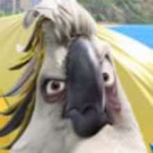 301 Moved Permanently