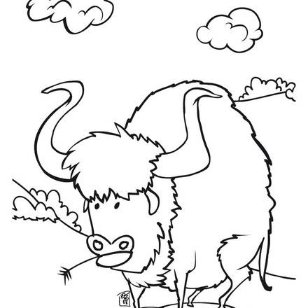 Bison : Coloriages, Vidéos et Tutoriels, Activites Manuelles, Lire et ...