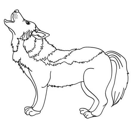 Coloriages de Loups - Coloriages - Coloriage à imprimer gratuit - fr ...
