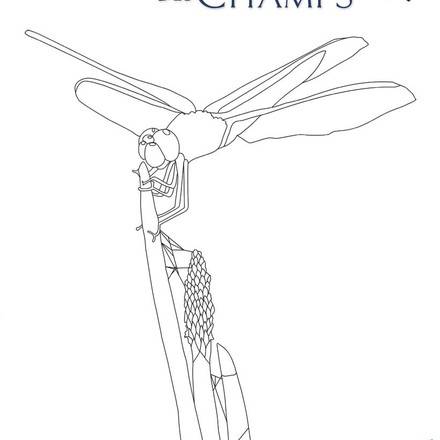 Coloriage LA CLE DES CHAMPS - Coloriages - Coloriage à imprimer gratuit ...