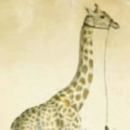 Zarafa : Coloriages, Vidéos et Tutoriels, Actualités, Activites ...